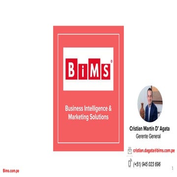 Presentacion Bims | PPTX