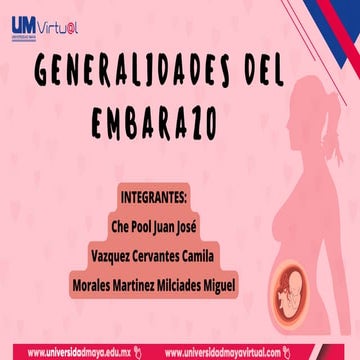 Presentación Calendario De Embarazo Ilustrativo Rosado.pdf