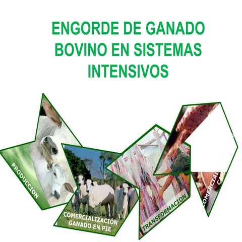 Sistema explotacion extensivo bovinos | PPTX
