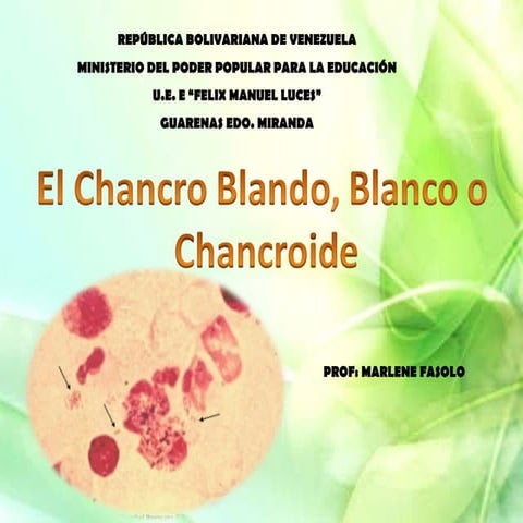 Presentacion chancro blando tarea siso | PPT
