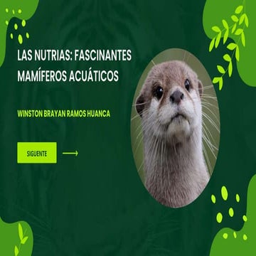 PRESENTACION DE BIOLOGIA-NUTRIAS | PPTX