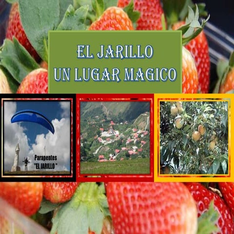 Presentacion de el jarillo | PPTX
