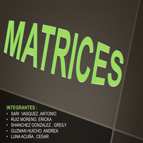 Matrices | PPT