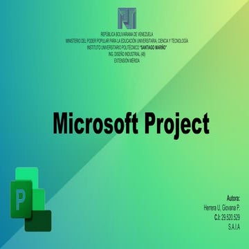 Microsoft Project | PPTX