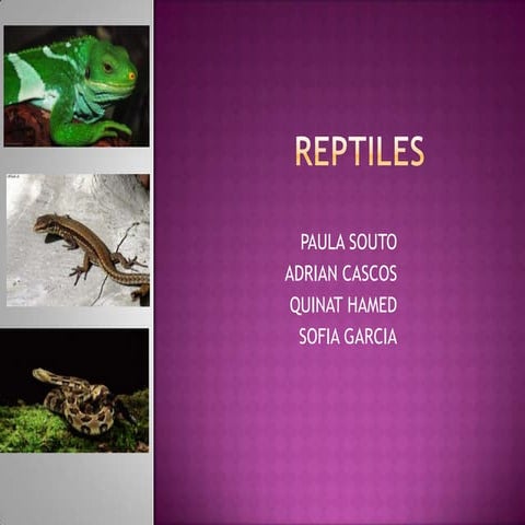 Presentacion de reptiles | PPT