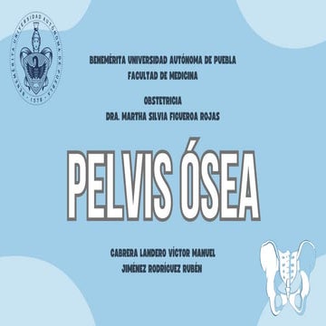 PELVIMETRÍA, PLANOS DE HODGE, DIAMETROS Y EJES DE LA PELVIS .pptx