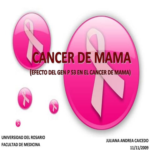 Presentación efecto del gen p53 sobre el cáncer de mama | PDF