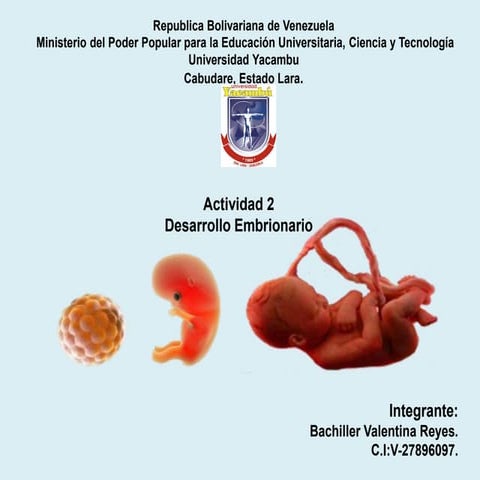 Presentacion embrion valentinareyes | PDF