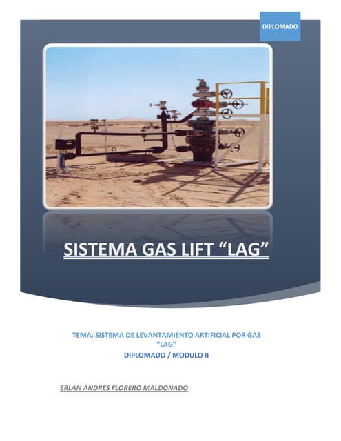 04 gas lift_equipment | PPT | Physics | Science