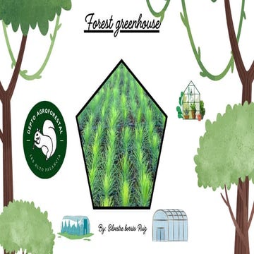 Presentacion Forestry Green House English.pdf
