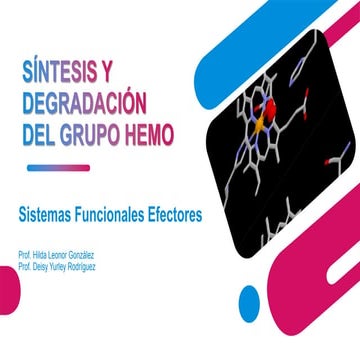 PRESENTACIÓN HEMO.pptx