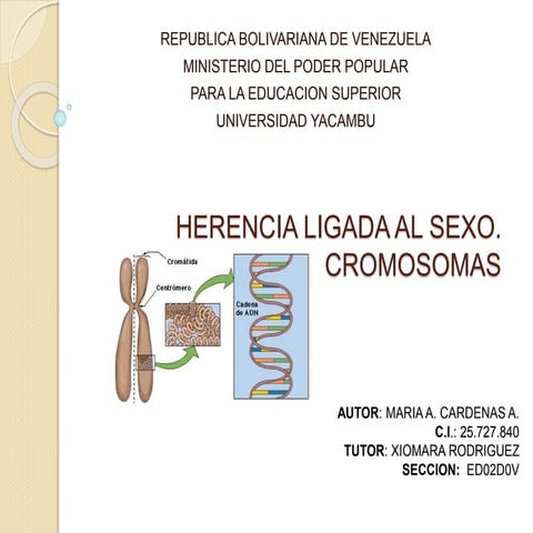 Presentacion herencia ligada al sexo- cromosomas | PPTX
