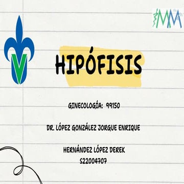 Presentación_HIPÓFISIS funciones hormonales | PDF