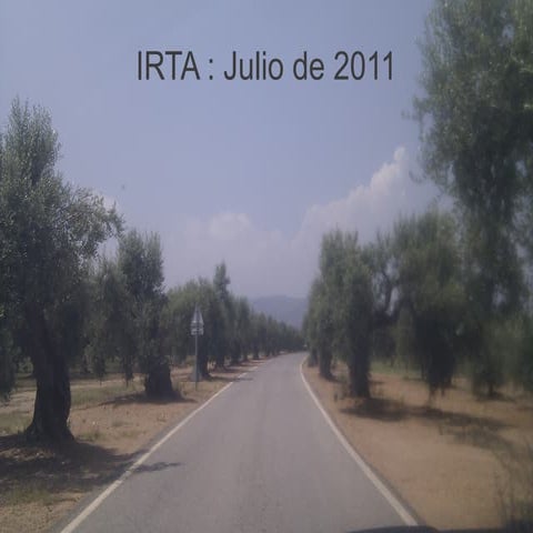 Presentacion IRTA | PDF