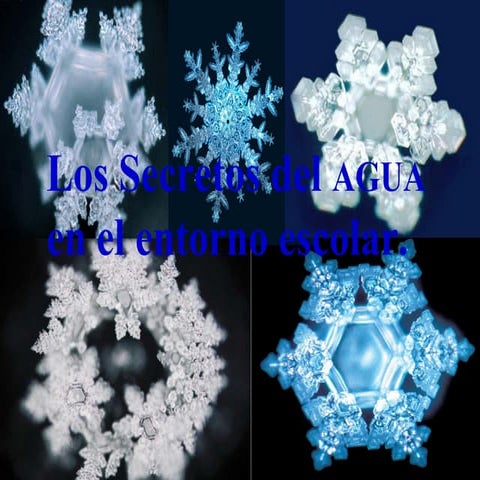 Presentacion los secretos del agua en el entorno escolar | PPT