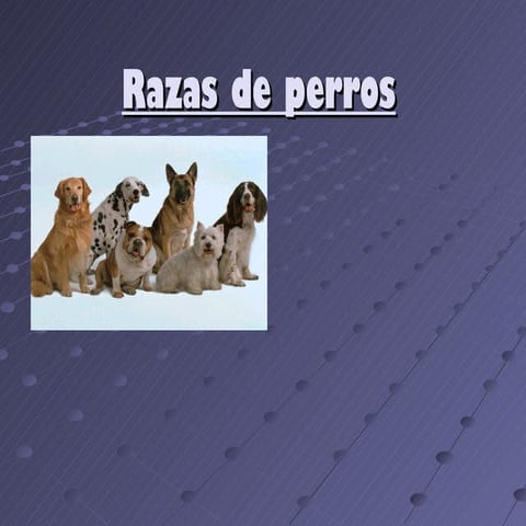 Razas de perros | PPT