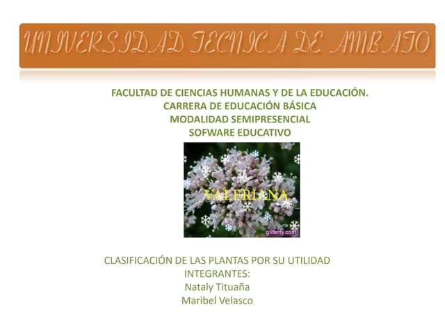 las partes de la planta | PPT