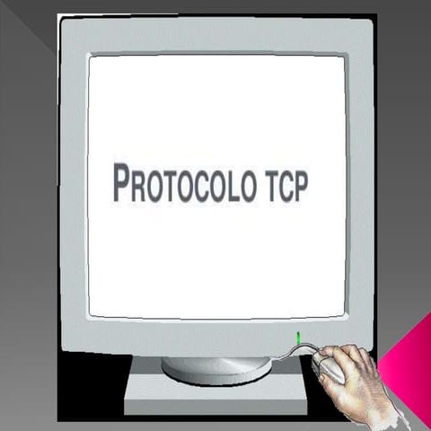 Protocolo TCP | PPSX