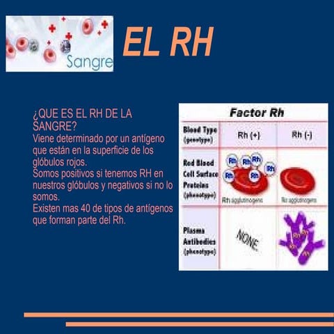 Presentacion rh | ODP