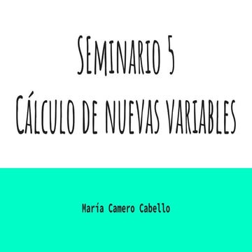 Maria_camero presentations