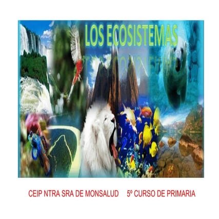 Presentacion T4 Ecosistema | ODP