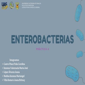 Bacteria providencia informe | DOCX