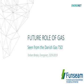 Future Role of Gas. Seen from the Danish Gas TSO. Torben Bravo, CEO GAS ...