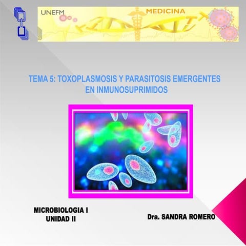 Presentación Toxoplasma gondii Mayo 2024(1).pdf