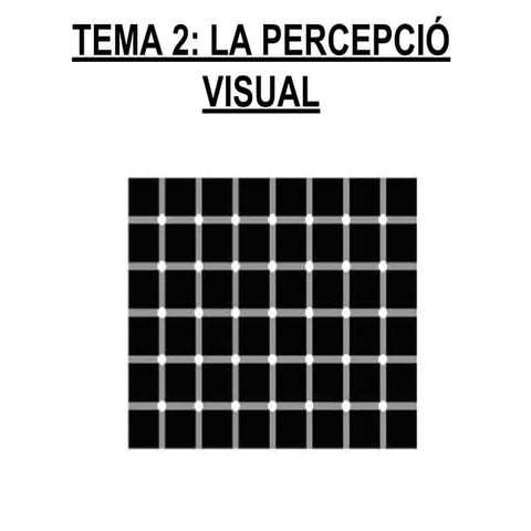 Presentacio tema 2 completa ara sí | PDF