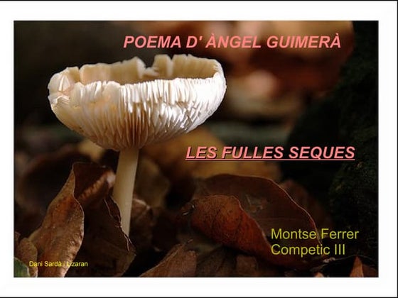 Les Fulles Seques | PPS