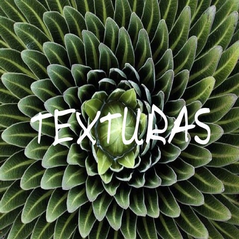 Clasificación de texturas : táctiles y visuales | PDF