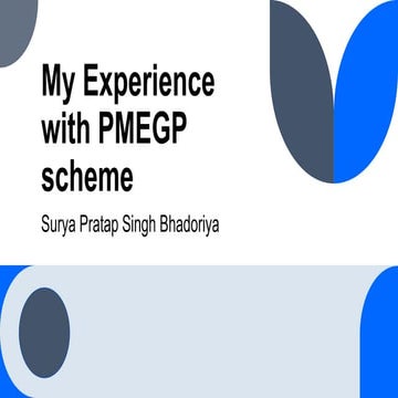 My experience with PMEGP scheme.pptx