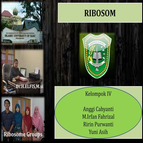 PPt Materi Ribosom dan Sintesis Protein-1.pptx