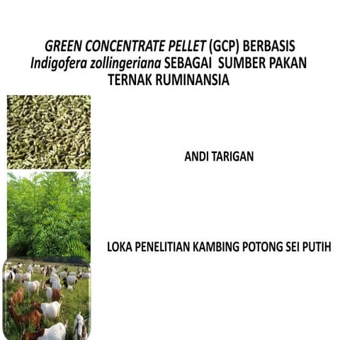 GREEN CONCENTRATE PELLET BERBASIS INDIGOFERA ZOLLINGERIANA SEBAGAI ...