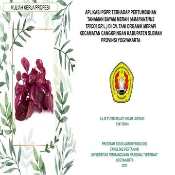 presentasi aplikasi pgpr terhadap pertumbuhan bayam.pptx