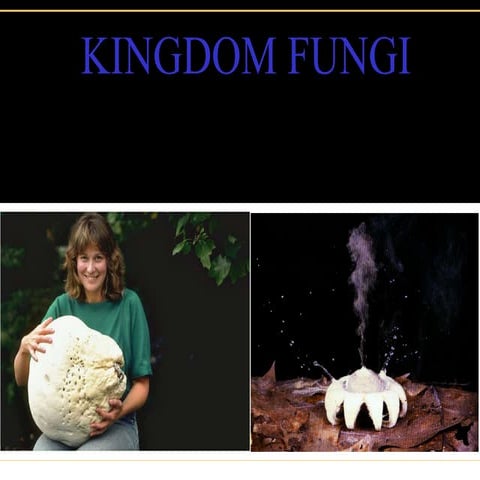 Fungi | PPT