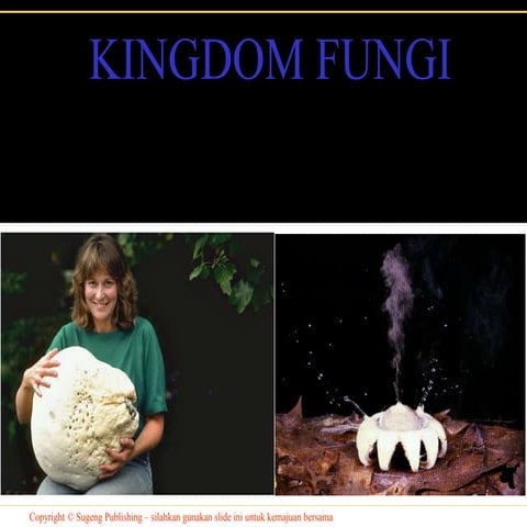 presentasi-fungi.ppt