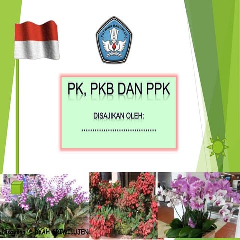 presentasi-pkpkb-dan-ppk.ppt