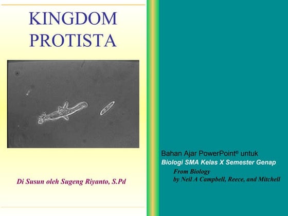 Protista | PPTX