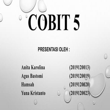 Presentasi COBIT 5 Kelompok 4 (Anita, Agus, Hamsah, Yuna).pptx