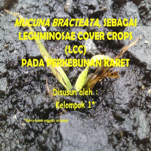 Presentasi lcc | PPTX