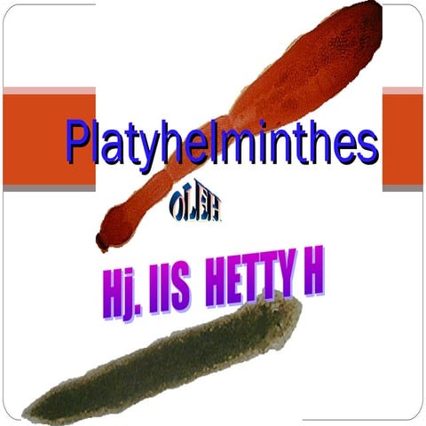Presentasi platyhelminthes | PPT