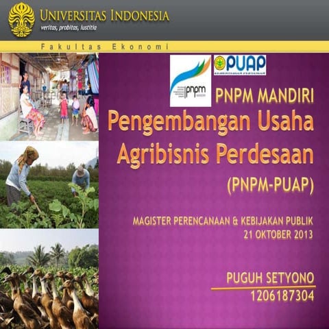 Presentasi pnpm puap | PPTX