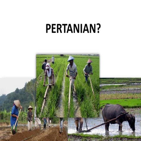 Presentasi Promosi IPB 2013 | PPTX