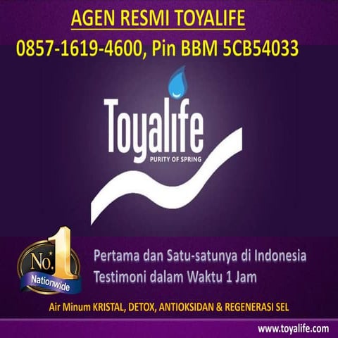 Toyalife, 0857-1619-4600 (Im3) | PPT