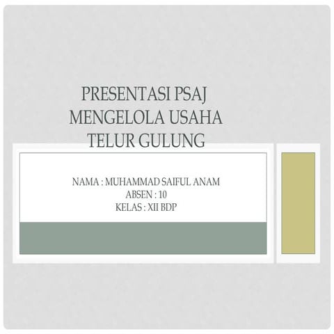 PRESENTASI USAHA M SAIFUL ANAM kelas XII BDP.pptx