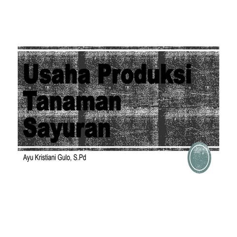 Presentasi_Usaha_Tanaman_Sayuran_Visual.pptx