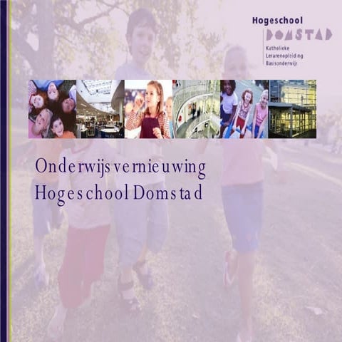 Structuur opleiding Hogeschool Domstad | PPT