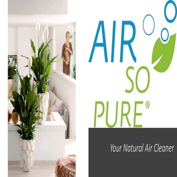Air so Pure Plants, Your Natural Air Cleaner | PPTX