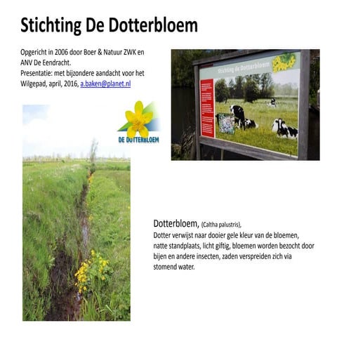 Presentatie over st. dotterbloem, wilgepad, voor de vereniging groei en ...